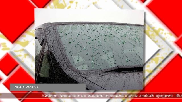 17.02.2026 Интересные факты. Привычные технологии, которые учёные подсмотрели у самой природы