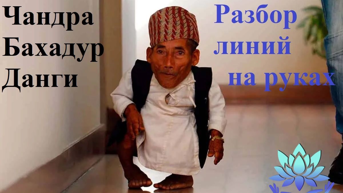 Чандра Бахадур Данги - самый маленький человек. Разбор линий на руках.