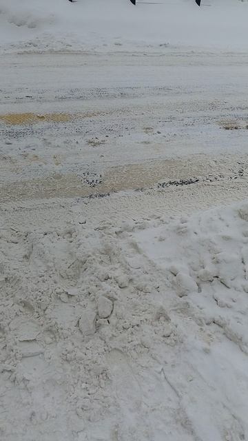 №1421 Комсомольский проспект. 8 февраля 2026 г., 12:07:07 VID_20260208_120640988