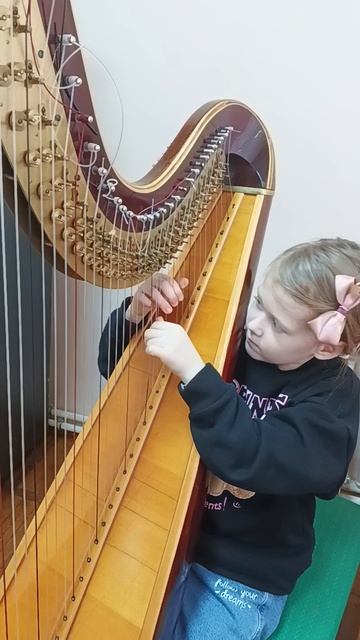 гамма в три октавы