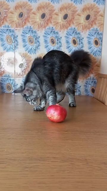 Гранат и гранат