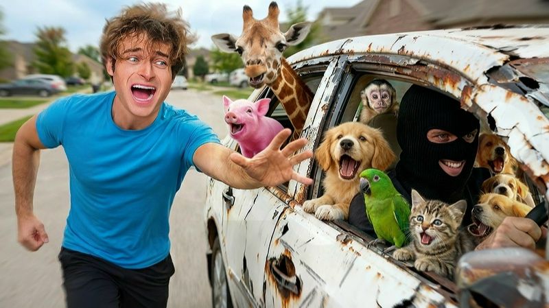 Я спас 5 украденных животных из зоопарка [Topper Guild]