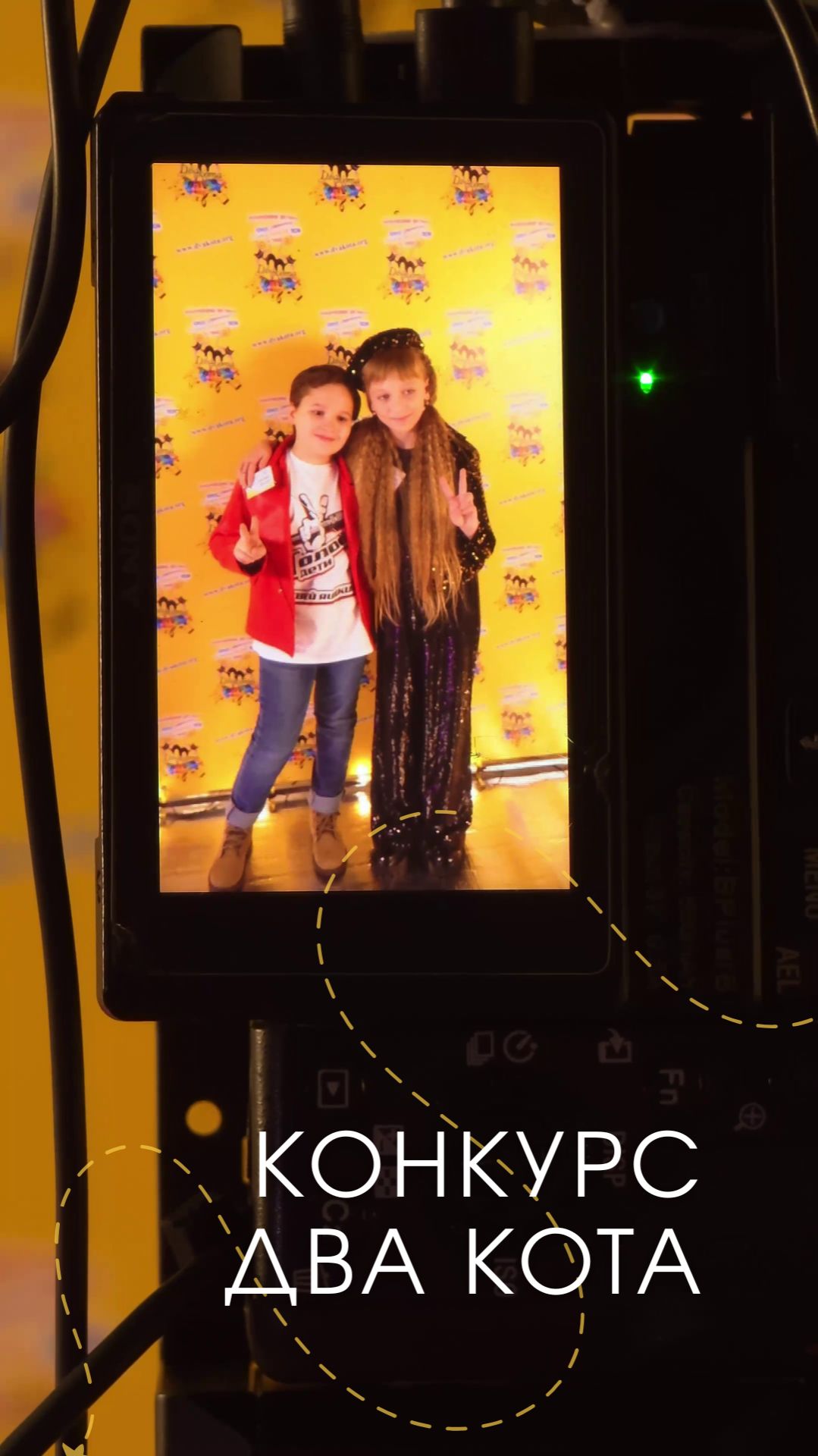 ДВА КОТА 2025 / 17 октября