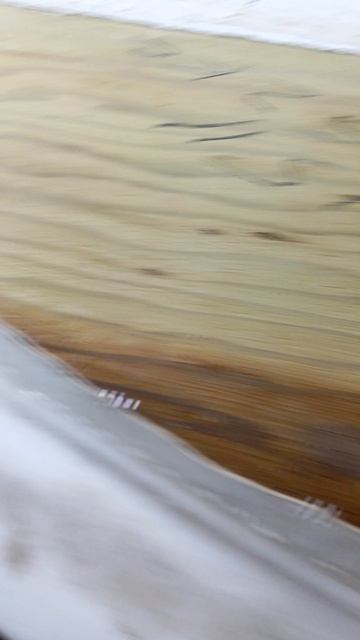 Вонь кают катеров