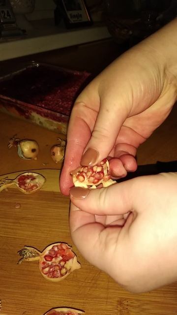 Гранат комнатный. Размеры плодов. Можно ли кушать