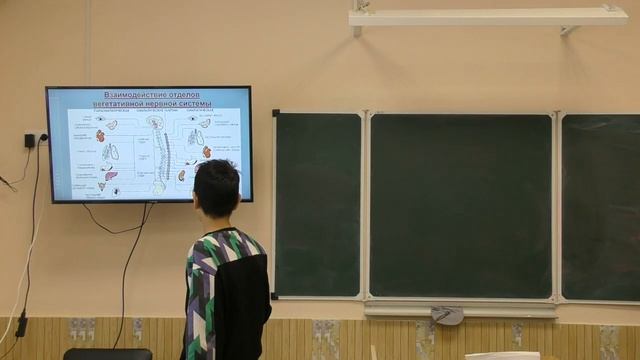 Акопян Андрей 8в - Вегетативная нервная система