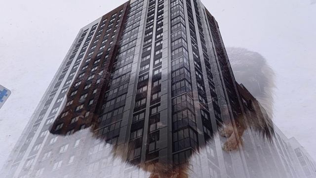 Екатеринбург Ботаника Февраль 2026