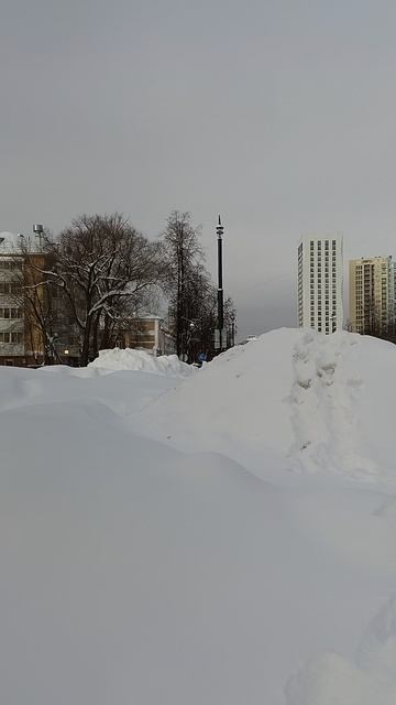 №1431 ул. Сибирская. 10 февраля 2026 г., 13:57:05 VID_20260210_135617779