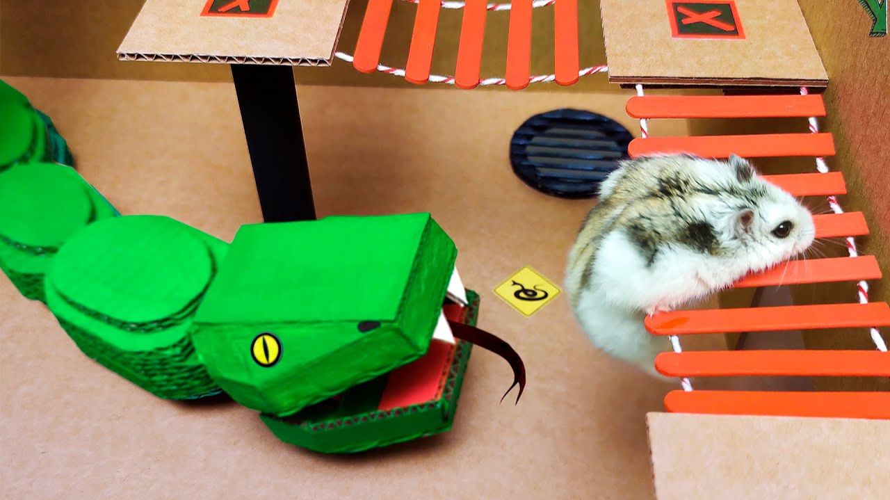🐹🐍Лабиринт для хомяка со змеями и ловушками — полоса препятствий