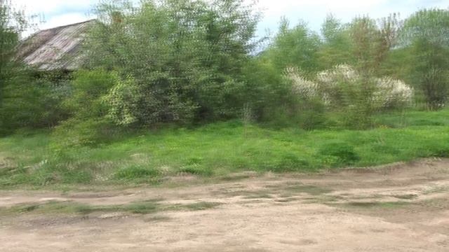 Поход в полузаброшенный посёлок возле Йошкар-Олы 18 мая 2025 года