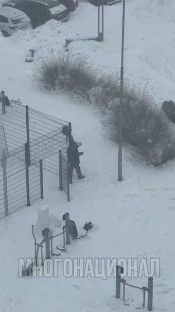 Москва. Внуково. Как мигрант чистит снег?