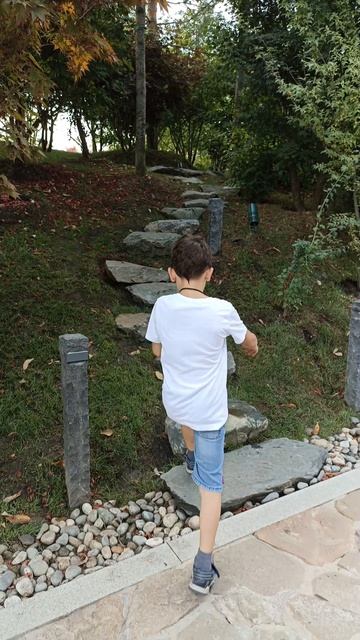 Колорит Японского Сада в парке Галицкого | Серега скалолаз на отдыхе #паркГалицкого #серега  #short