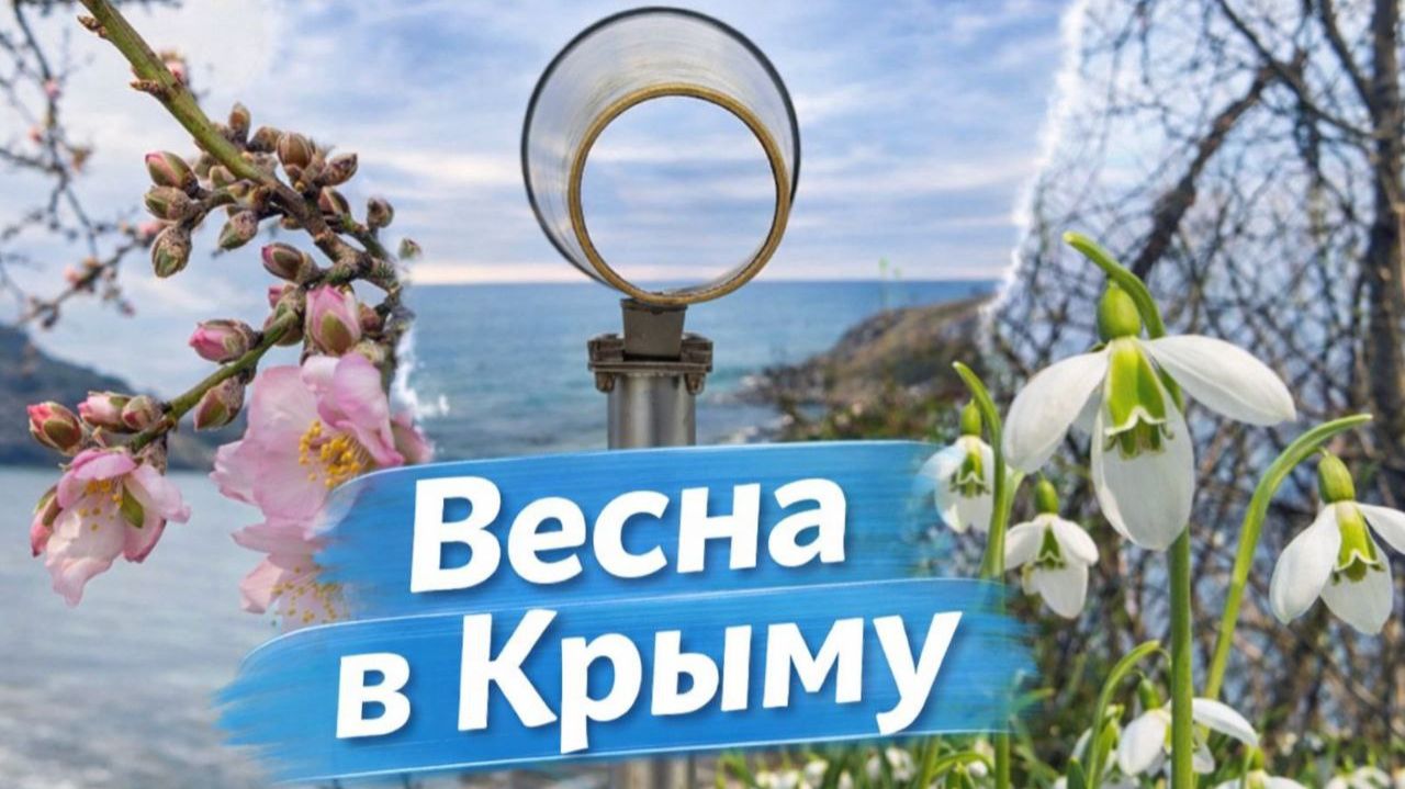 Из Германии в Россию. Жизнь  в Крыму. Прогулки