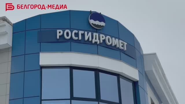 В ближайшие сутки в Белгородской области ожидаются снегопады и метели