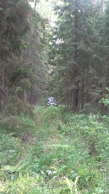 Едем на коп #shorts #metaldetecting #копвлесу #металлоискатель #лес