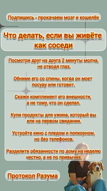 Что делать, если вы живёте как соседи