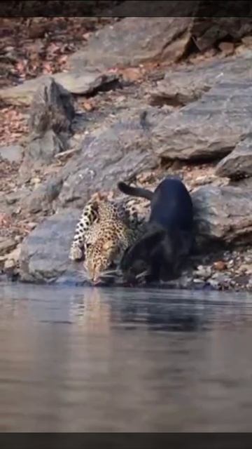 Когда звёзды выстраиваются в ряд, происходит волшебство. Мать и дочь