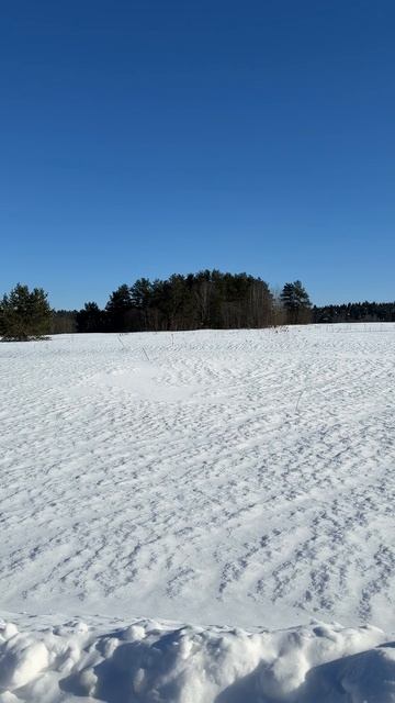Продается участок 13.4 сотки на берегу реки в д.Красная Роща, Александровский р-н, Владимирская обл.