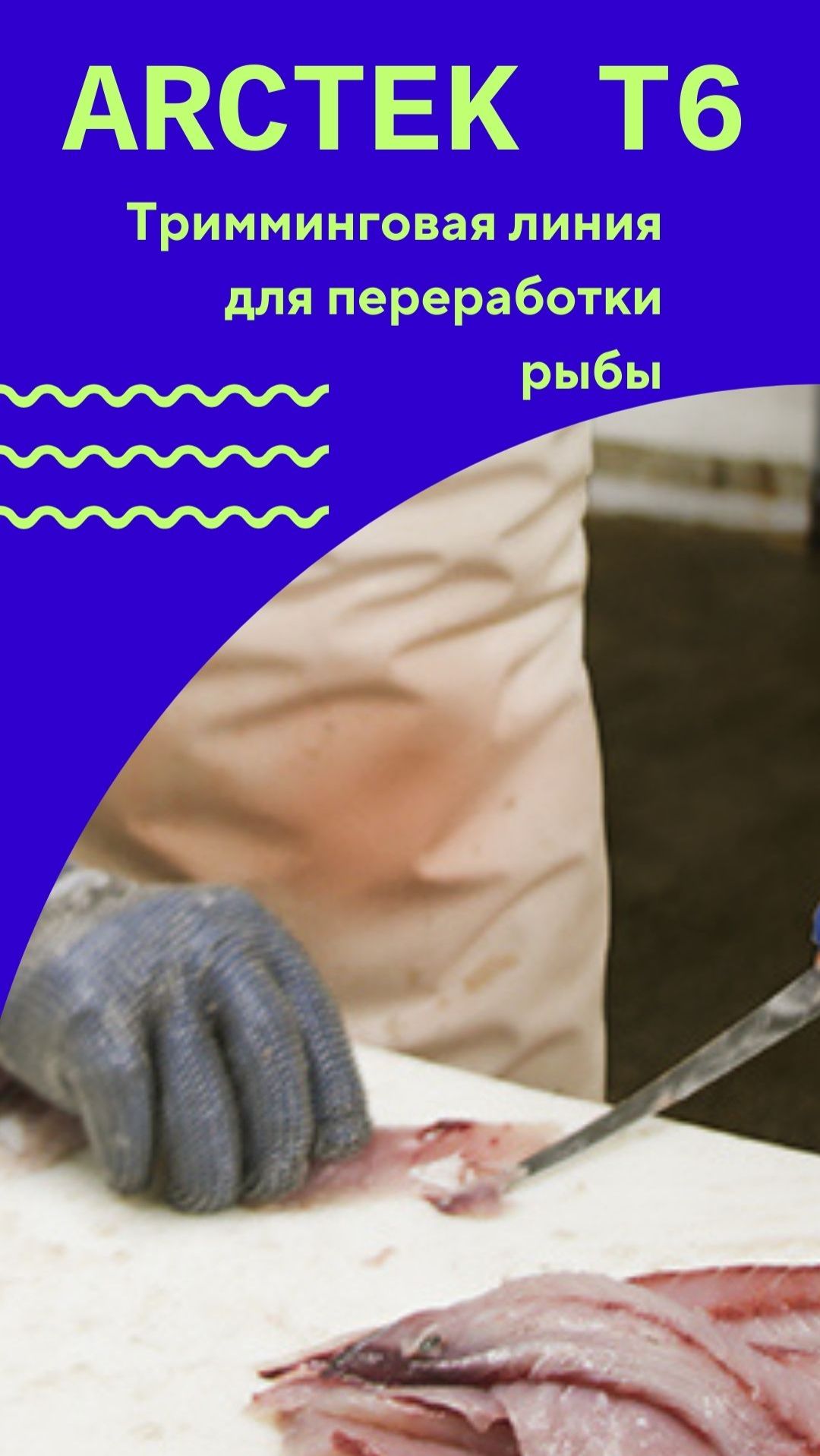 Arctek T6 Тримминговая линия для переработки рыбы