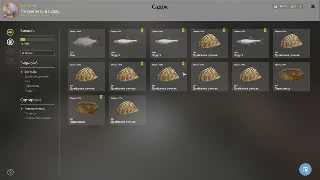 РР4 Вьюнок. Ракушки