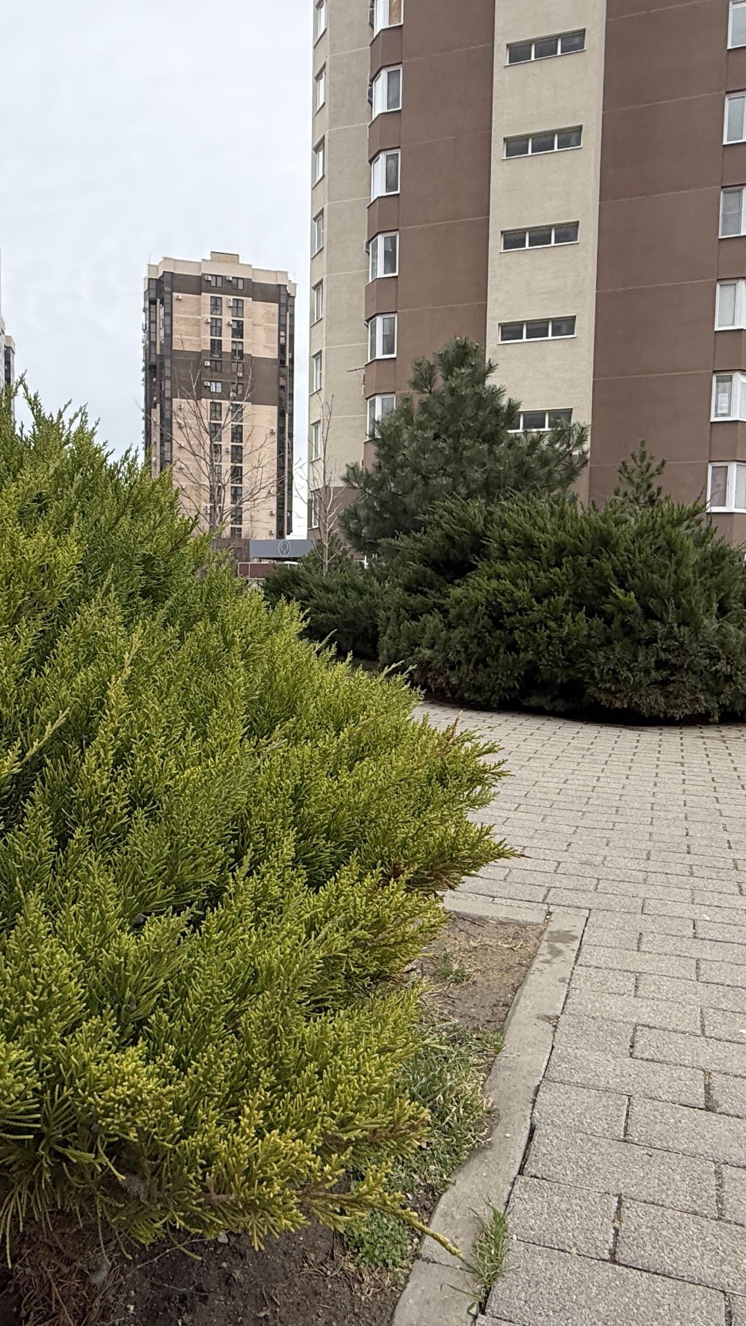 #Анапа Срочно продам квартиру-студию