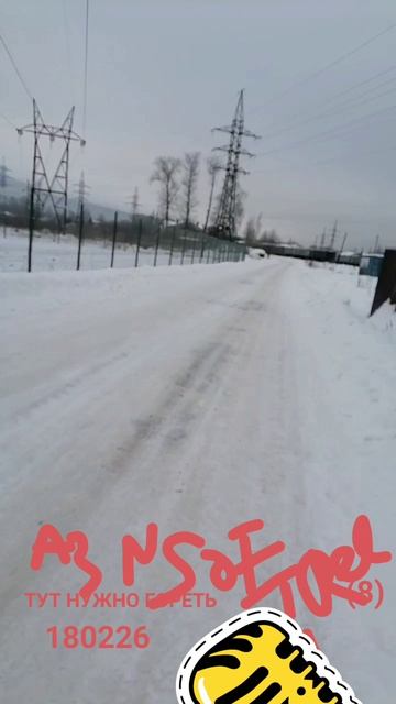 LENINGRADSKAYA_OBLAST_TUT_NUZHNO_GORET___upload_2026_02_18___A3_N_SOF_TREE (_8)