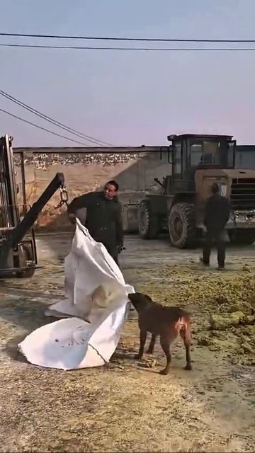 Без него вся работа встанет