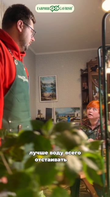 КАКОЙ ВОДОЙ МОЖНО И НУЖНО ПОЛИВАТЬ РАСТЕНИЯ И РАССАДУ?