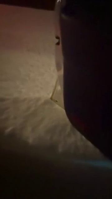 Холода ударили по территориям Чимиона, Узбекистан. (14.02.26)