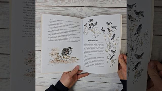 С днём рождения