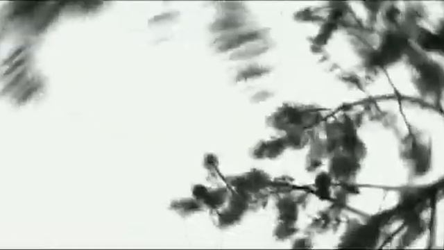 "Мин мантан сэриигэ барбытым"