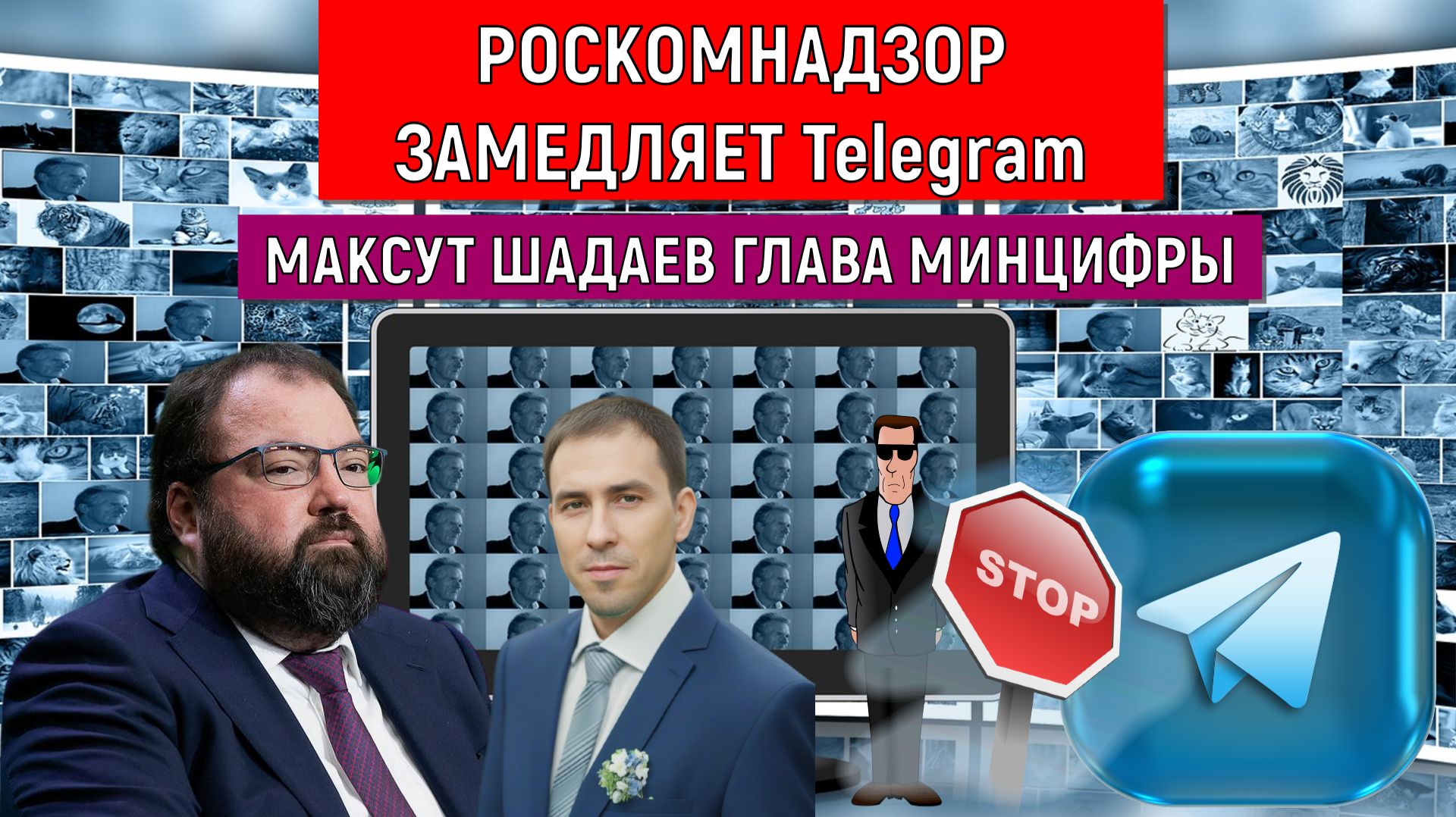 Роскомнадзор замедляет Telegram! Глава Минцифры Максут Шадаев сообщил на заседании комитета Госдумы