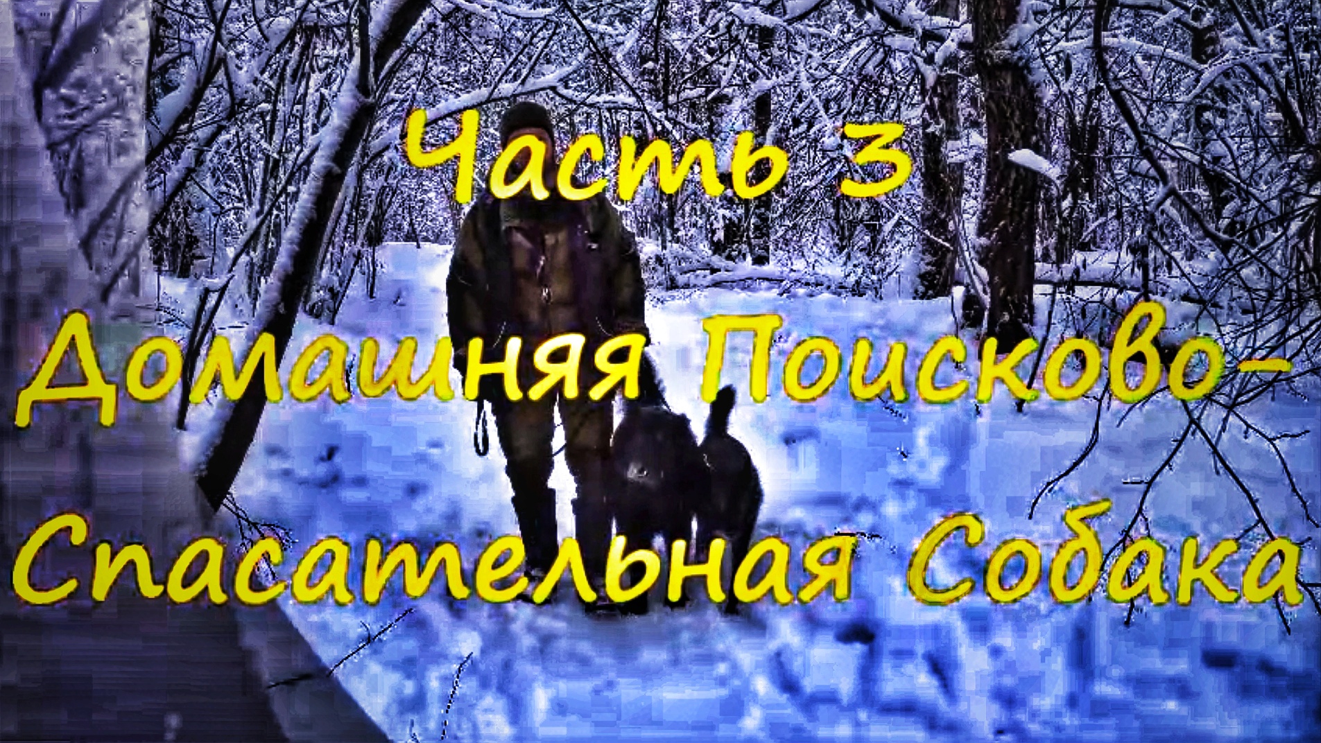 НЕСОБАКА.РУ    3 серия "Домашняя поисково-спасательная собака"