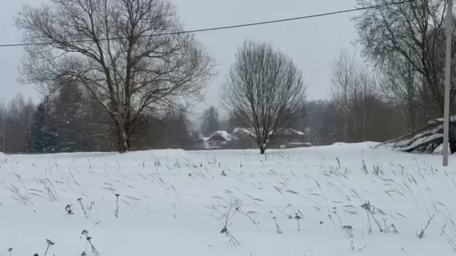 д. Исавицы 50:18:0080123:1137