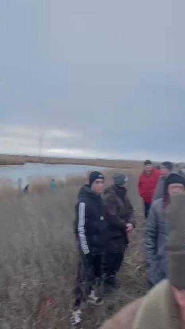 Мор рыбы: жители просят помощи