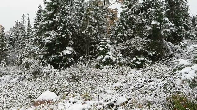 🌈 Страна Сэфестия. ❄️ ＂Ода  З И М Е＂ ! ❄️☃️🌀