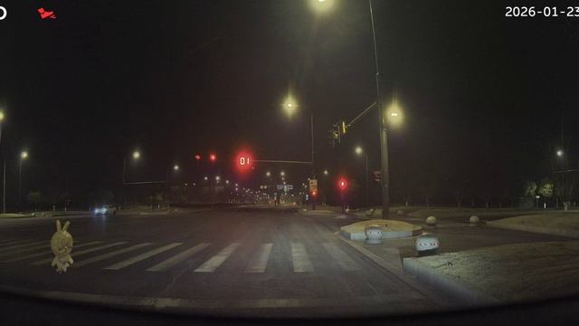 приведение шарик на пешеходном-original