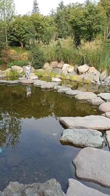 Пруд с каменной тропой в парке Галицкого | Серега скалолаз развлекается #паркГалицкого #серега