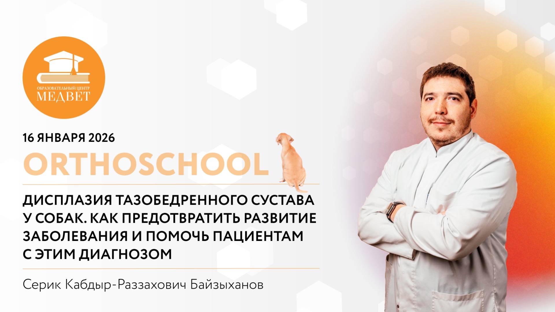Вебинар "ORTHOSCHOOL. Дисплазия ТБС у собак. Как предотвратить развитие и помочь пациентам"