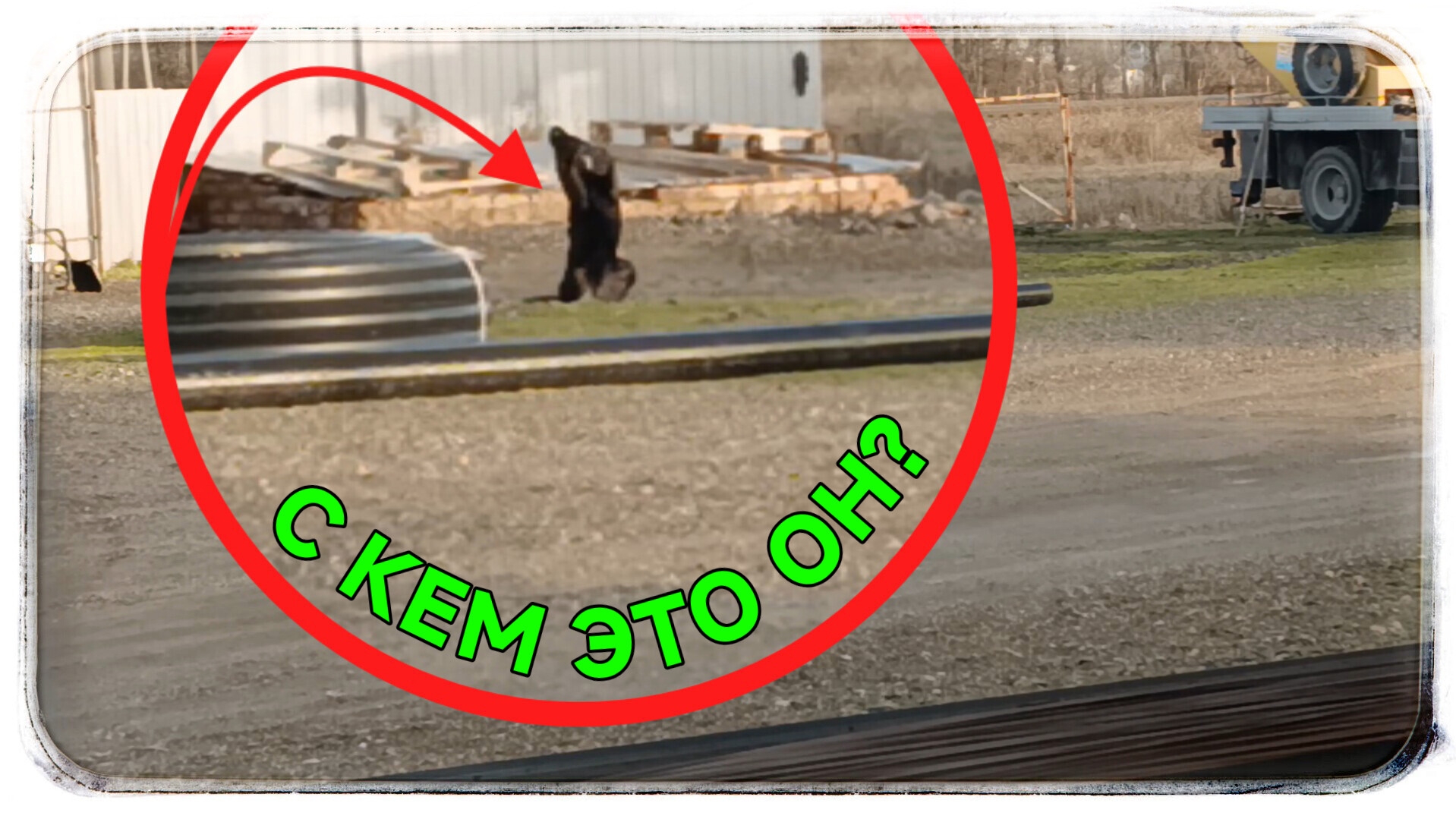 Утренние развлечения пса  по кличке «Угадай».