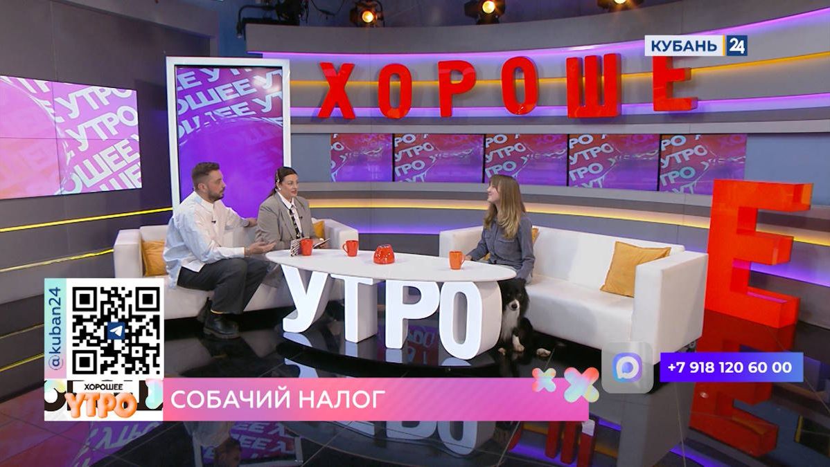 Полина Чернегова: инициатива с налогом на собак может вызвать негатив у хозяев