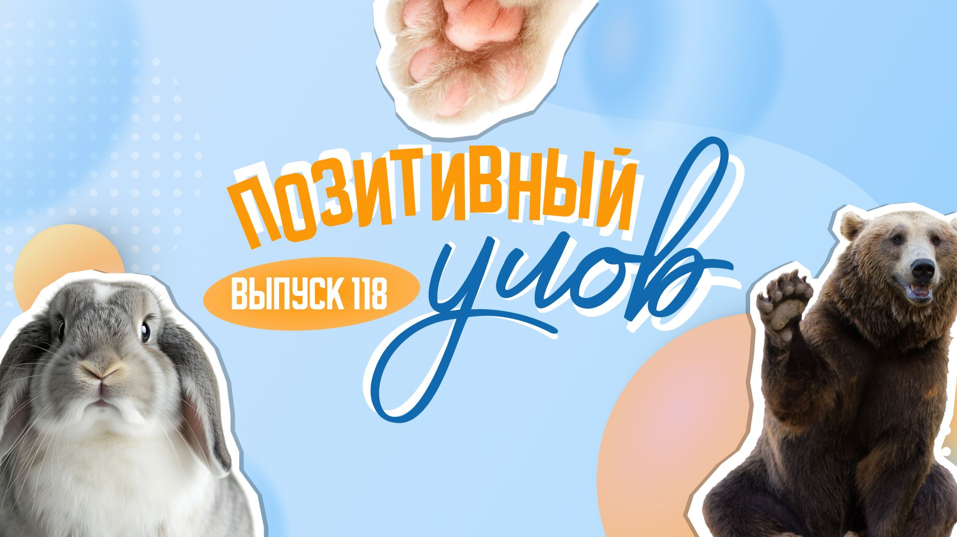 Мини-город для котов и стеклянный отель в Китае. "Позитивный улов"