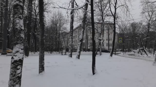 Санкт-Петербург, Новороссийская, 18, МФЦ, парк Лесотехнической Академии.