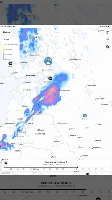 Ленинградская область. Хвойное. 19.08.2024. Погода. Утренняя зорька