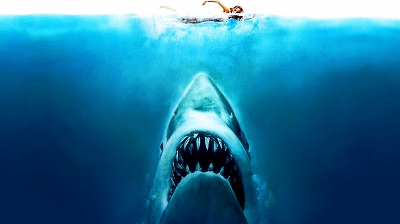 мини фильм "челюсти" melon playground