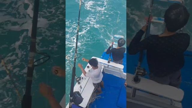 Рыбалка на Пхукете: с экзотикой и ракушкой каури! 🌊🎣