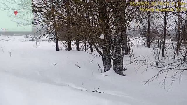 х. Головино 50:18:0090513:447