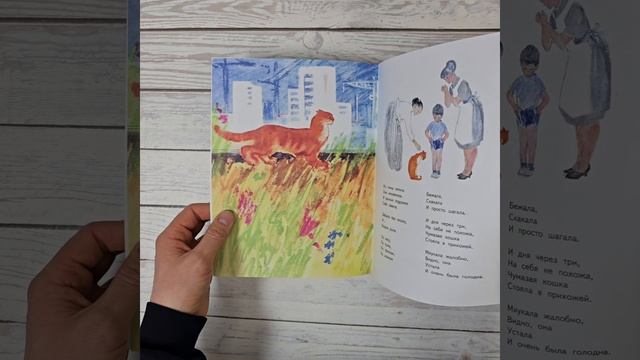 Немножко про кошку