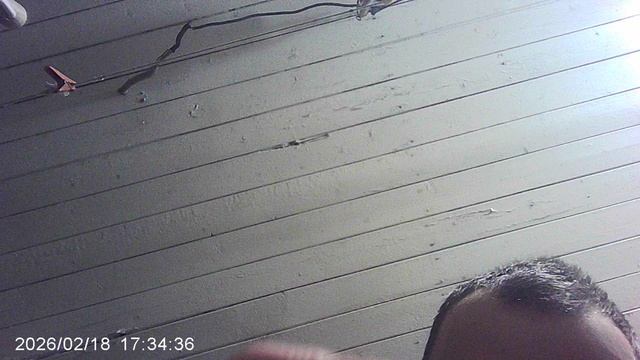 Экспериментальный посев семян томата Оля Ф1 - 18 февраля 2026