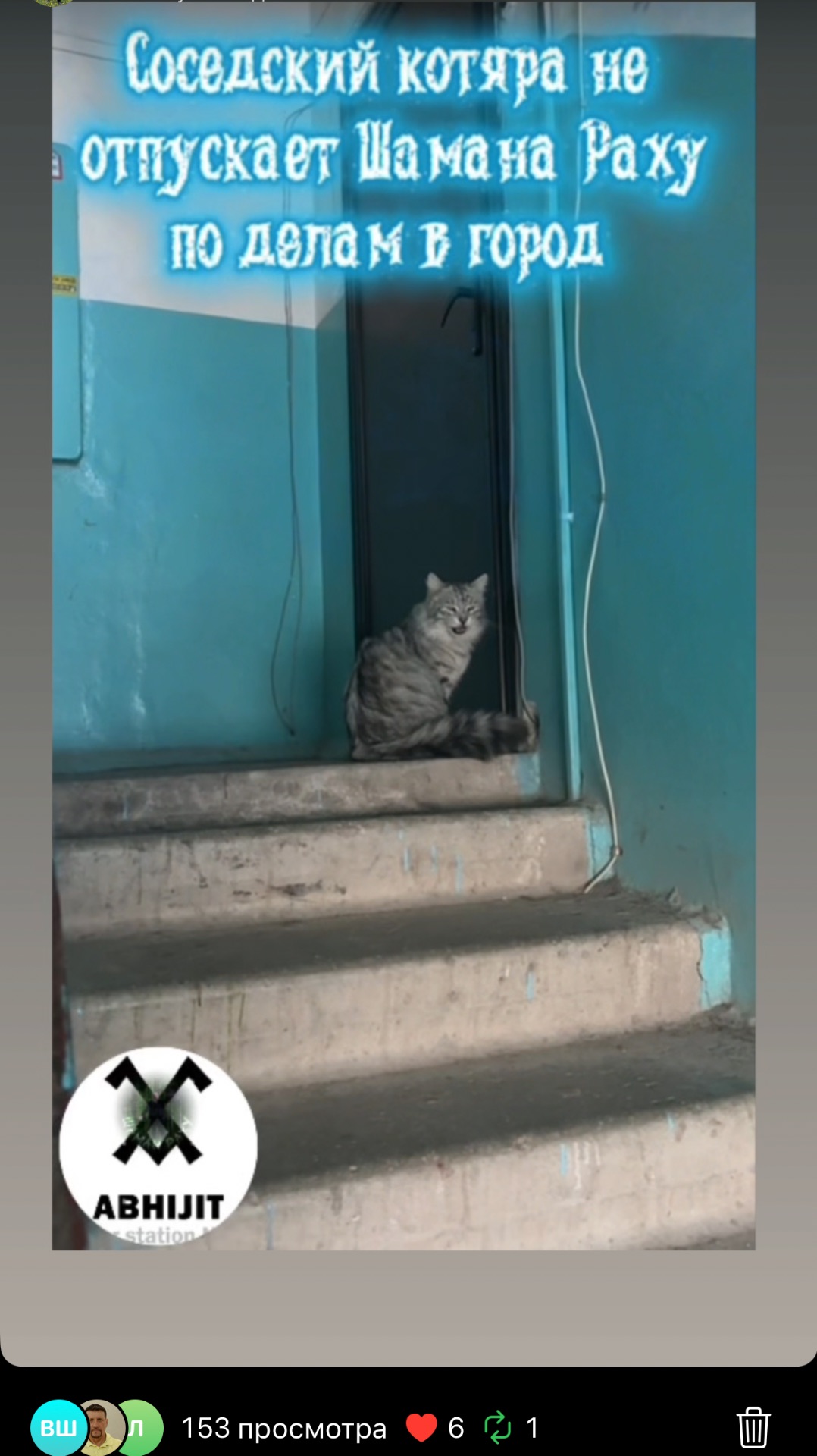 Кот не выпускает Шамана